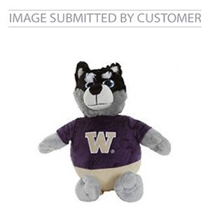 W Raccoon Custom Pinata - Custom Party Pinatas - Pinatas.com