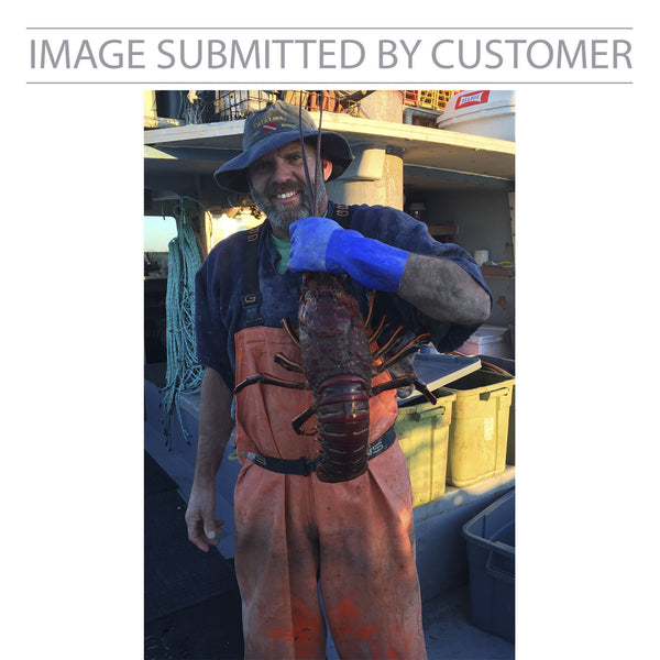 Man with Lobster Custom Pinata – Pinatas.com