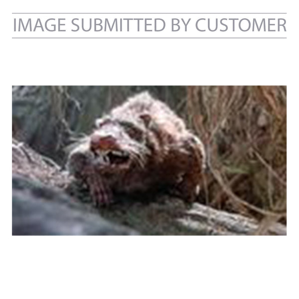 The Princess Bride Rodent Custom Pinata – Pinatas.com