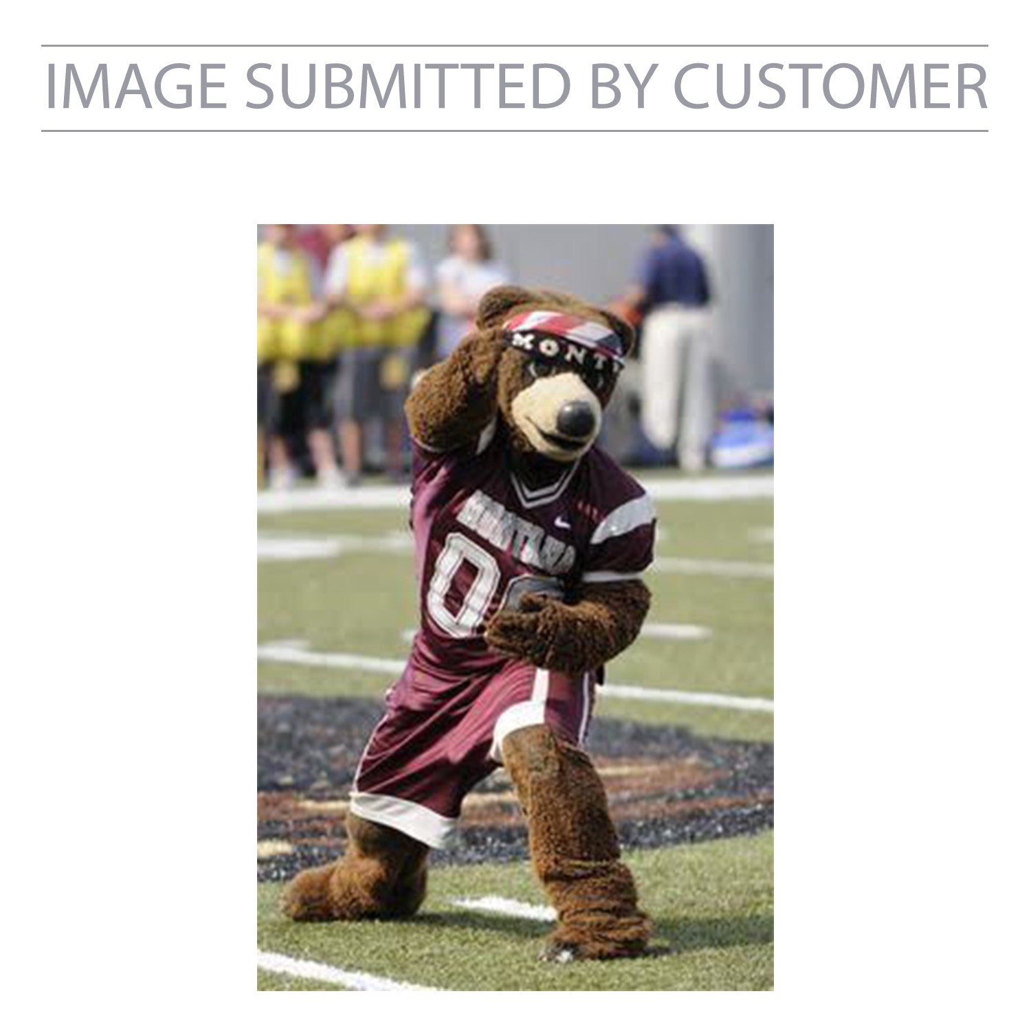 The University of Montana Mascot Custom Pinata – Pinatas.com