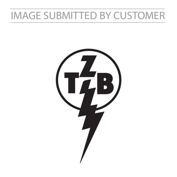 TZB Logo Custom Pinata – Pinatas.com