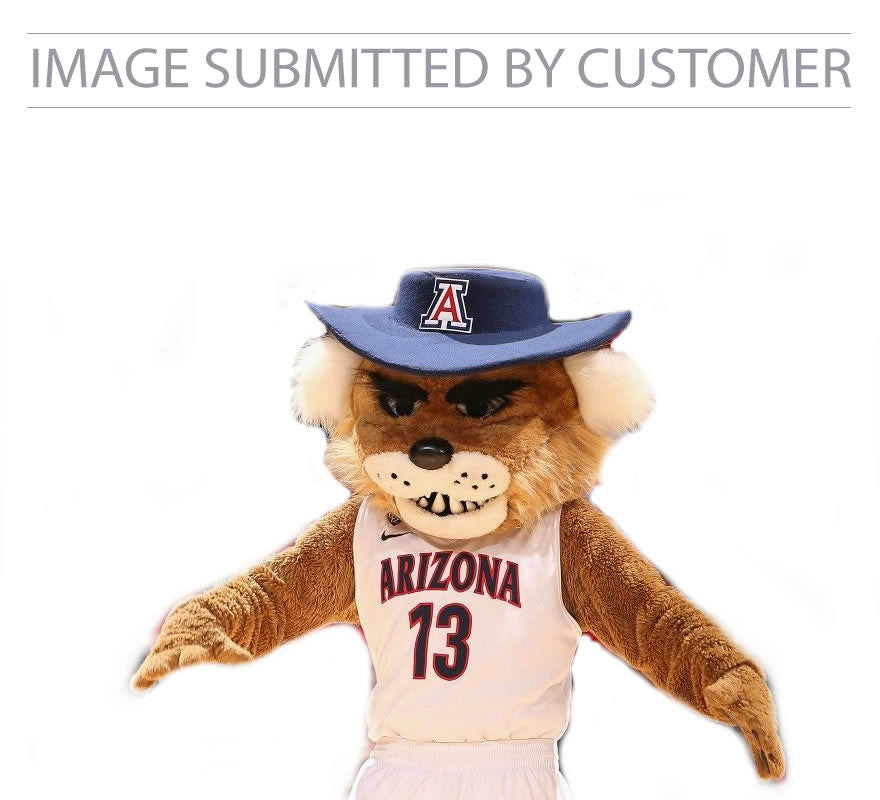 Arizona Mascot Custom Pinata - Custom Party Pinatas - Pinatas.com